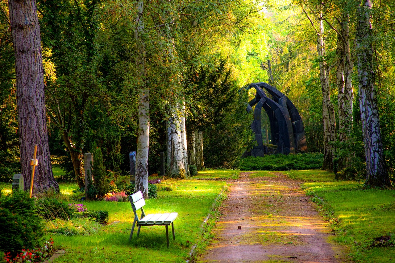 Nature-Connecting Places:10 City Spots Offering Earth's Healing Powers!